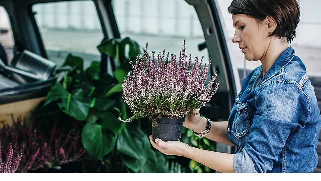 Carte carburant et électrique pour PME et indépendants | Shell Belgique