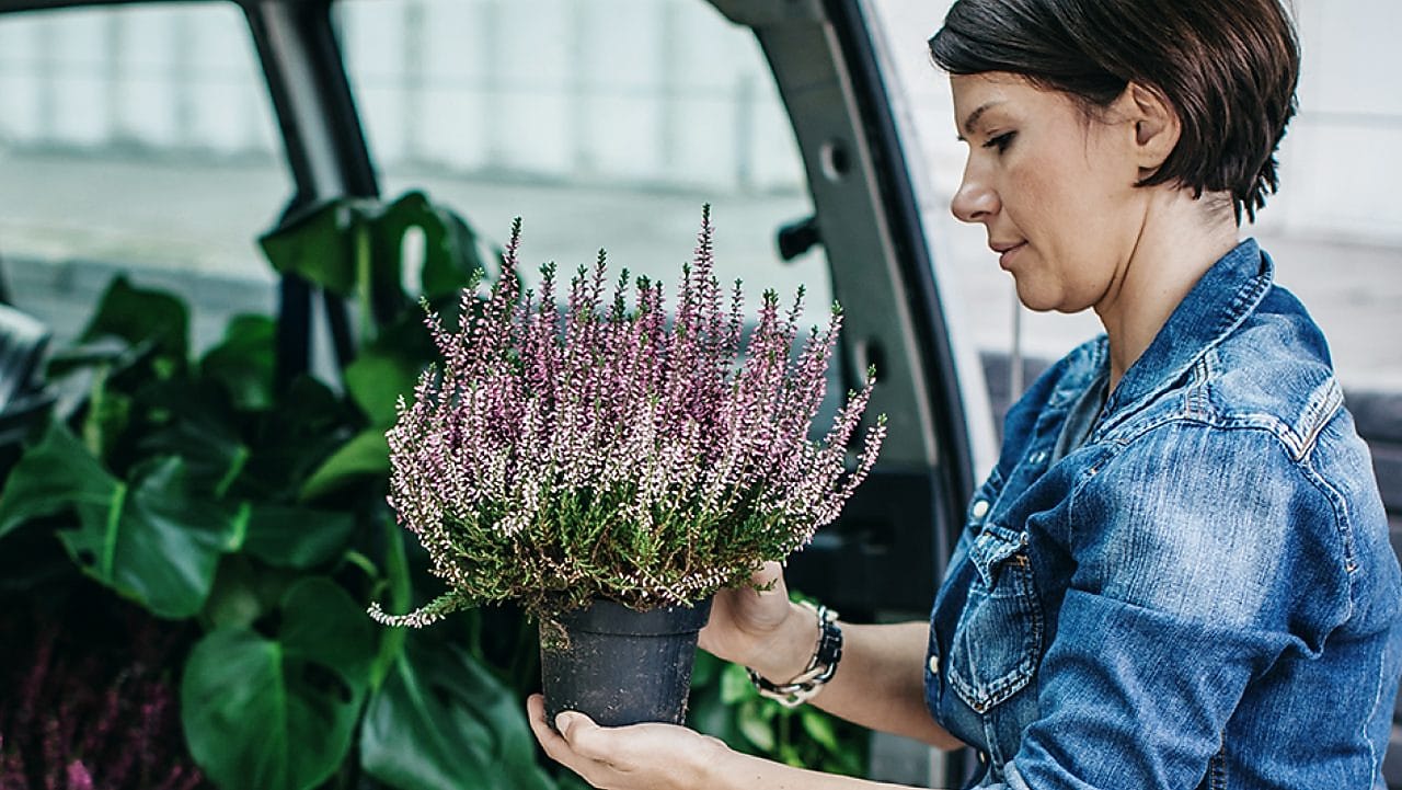 DE SHELL TANK- EN LAADKAART VOOR KMO's EN ZELSTANDIGEN | Shell België